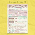 Biology Notes Class 12 | Handwritten Notes PDF | Bio Notes 12th