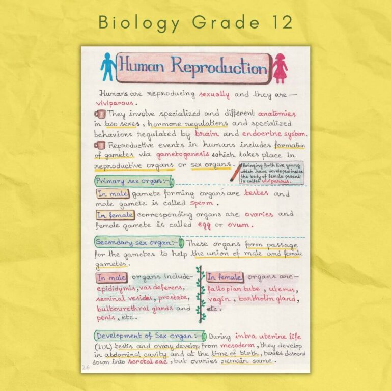 Biology Notes Class 12 | Handwritten Notes PDF | Bio Notes 12th