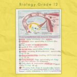 Biology Notes Class 12 | Handwritten Notes PDF | Bio Notes 12th