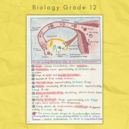 Biology Notes Class 12 | Handwritten Notes PDF | Bio Notes 12th