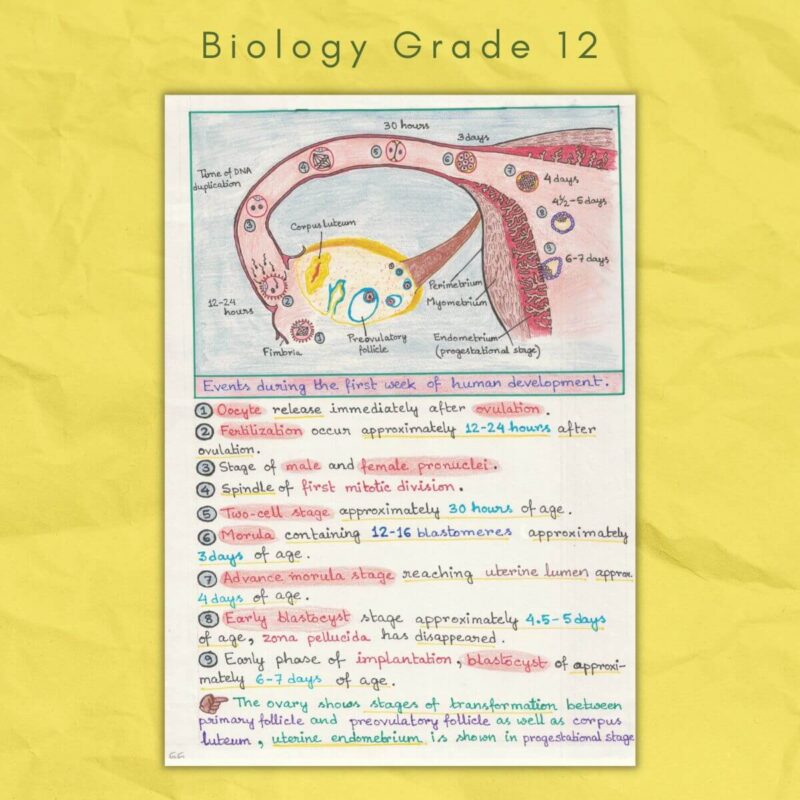 Biology Notes Class 12 | Handwritten Notes PDF | Bio Notes 12th