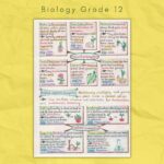 Biology Notes Class 12 | Handwritten Notes PDF | Bio Notes 12th