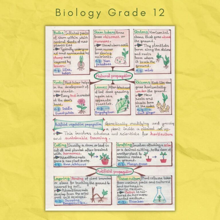Biology Notes Class 12 | Handwritten Notes PDF | Bio Notes 12th