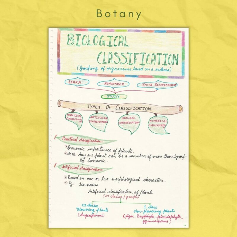 Botany Notes For Class 11 - Download Complete Study Material