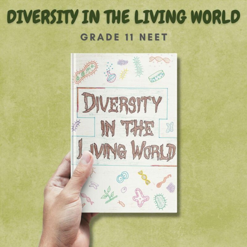 Science Notes Archives - NewtonDesk