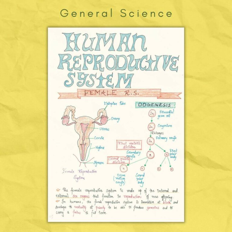 General Science Notes | Buy Handwritten General Science Notes