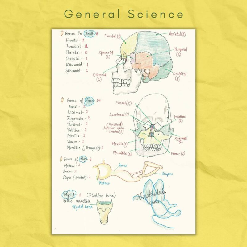 General Science Notes | Buy Handwritten General Science Notes