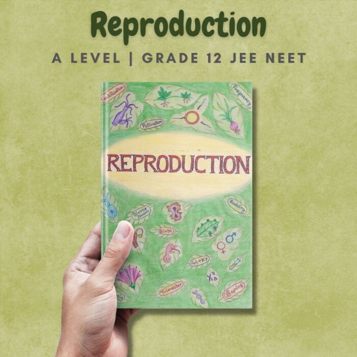 Human Reproduction (Biology Grade 12) Prime Notes [PDF] - NewtonDesk