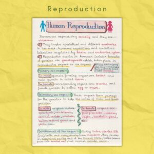 Human Reproduction (Biology Grade 12) Color Handwritten Notes [PDF ...