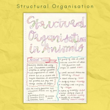 Structural Organization In Animals Grade 11 Color Handwritten Notes ...