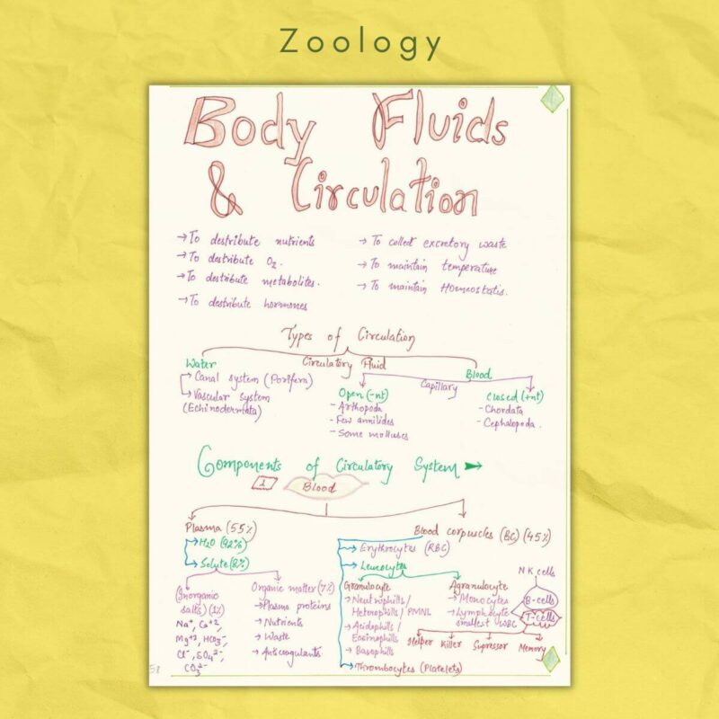 Zoology Notes for Class 11 | Download Zoology Notes PDF format!