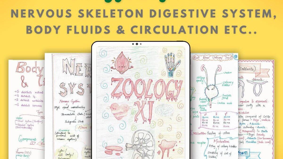 Zoology Notes Plus Two Zoology Notes Navas 2024 25 Hssreporter•com