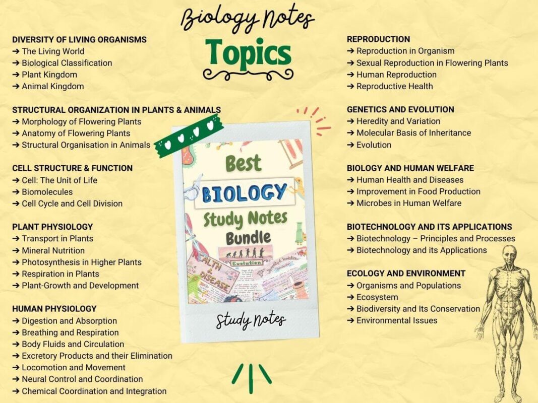 Complete Biology Aesthetic Notes Bundle (Special Edition) [PDF ...
