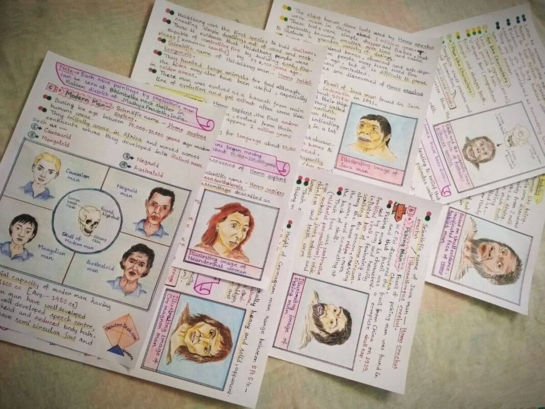 Complete Biology Aesthetic Notes Bundle (Special Edition) [PDF ...