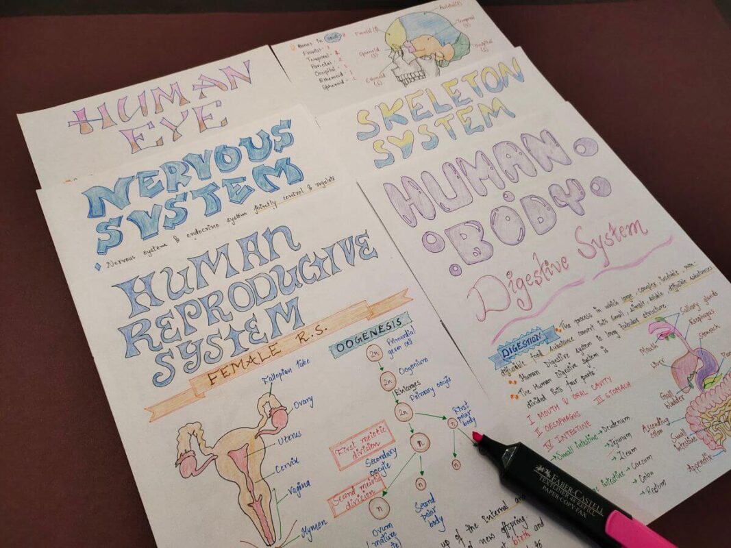 General Science or General Biology | Best Aesthetic Study Notes | High ...