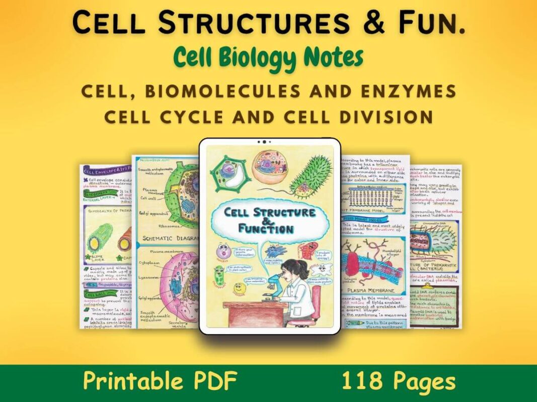 Cell Structure and Function (Cell Biology) Aesthetic Notes [PDF ...