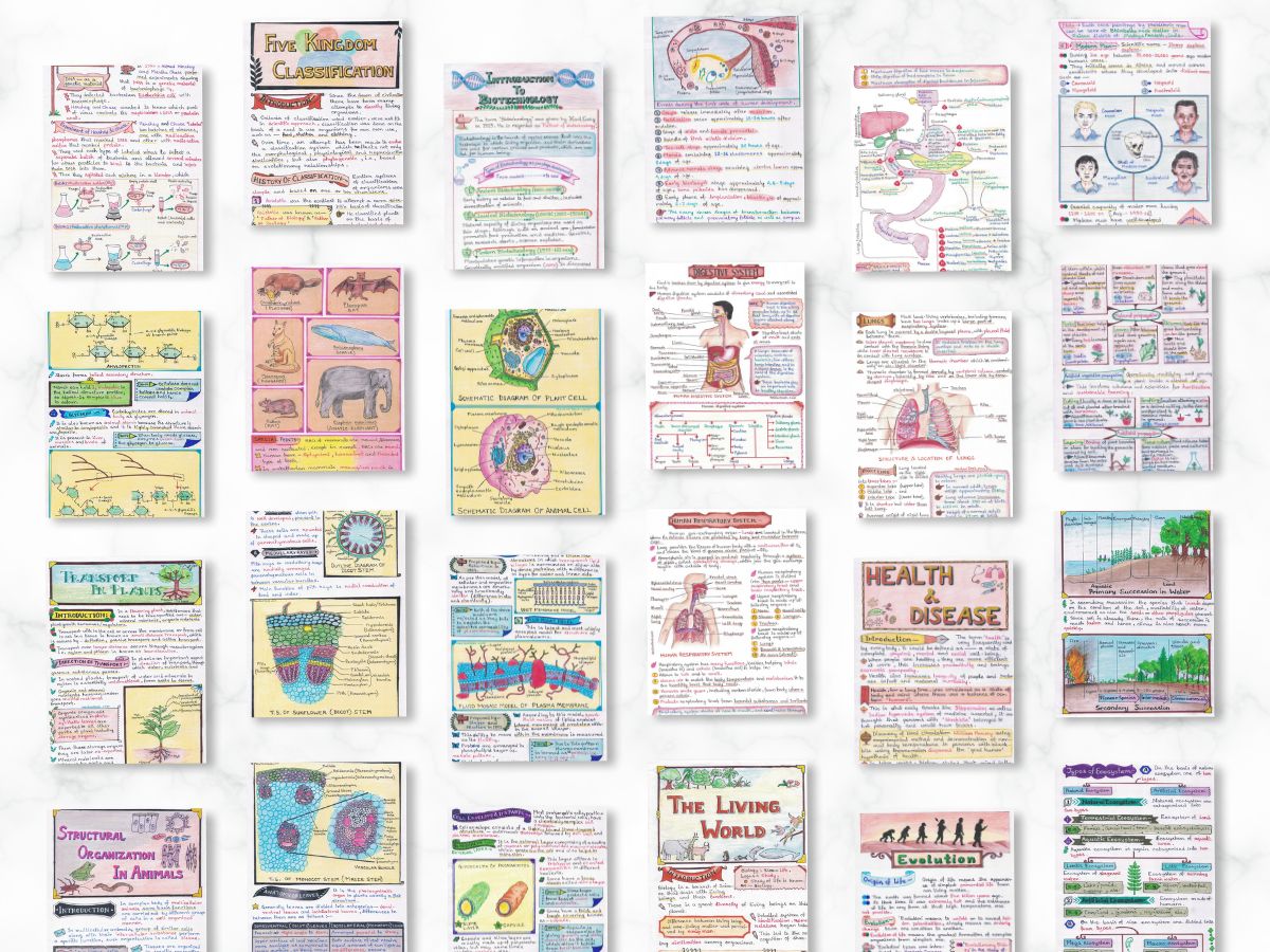 Aesthetic Notes: Enhance Study with Visual Note-Taking Methods